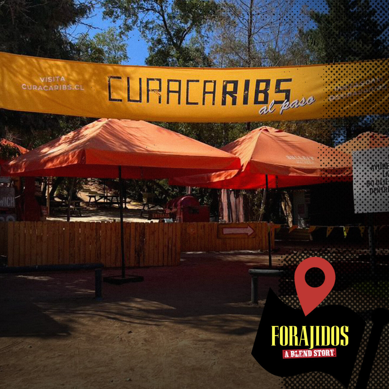 FORAJIDOS LLEGA A CURACARIBS - Forajidos